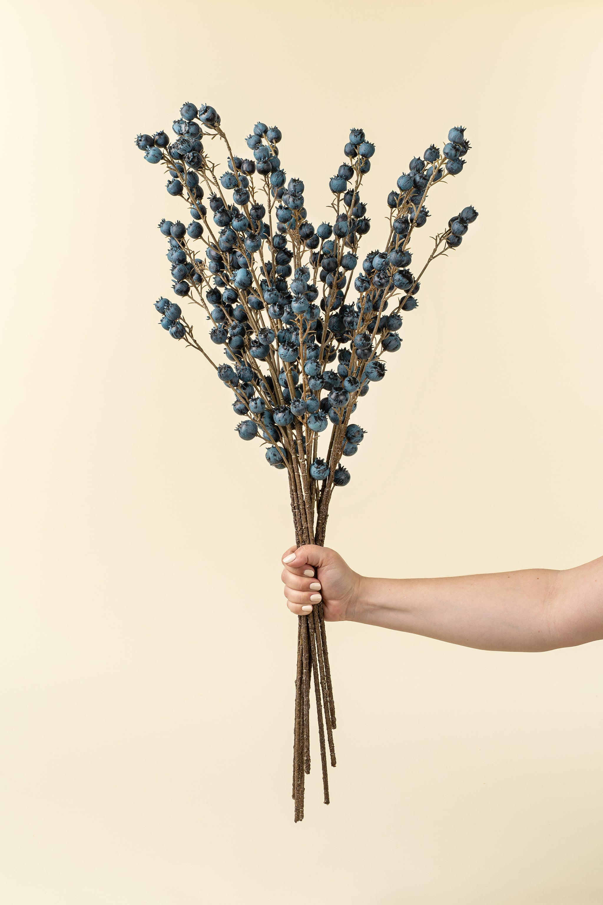 Blueberry Branch – Pick-it-Fence Pembroke